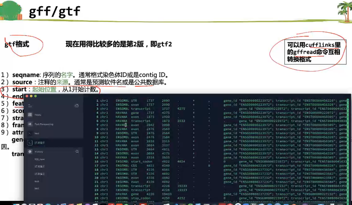 生物信息学常见数据格式 • fasta • fastq • gff/gtf_生物信息学序列格式-CSDN博客