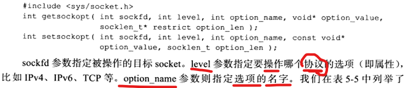 getsockopt和setsockopt-CSDN博客
