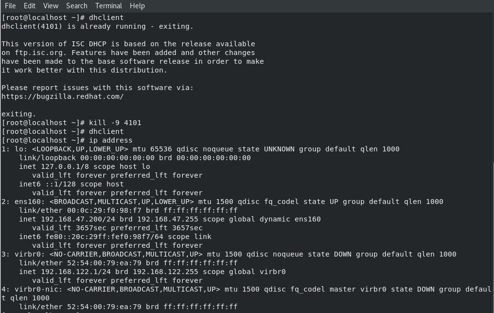 使用yum方法安装dhcp（网络源）_[root@localhost ~]# yum -y install dhcp-server upd-CSDN博客