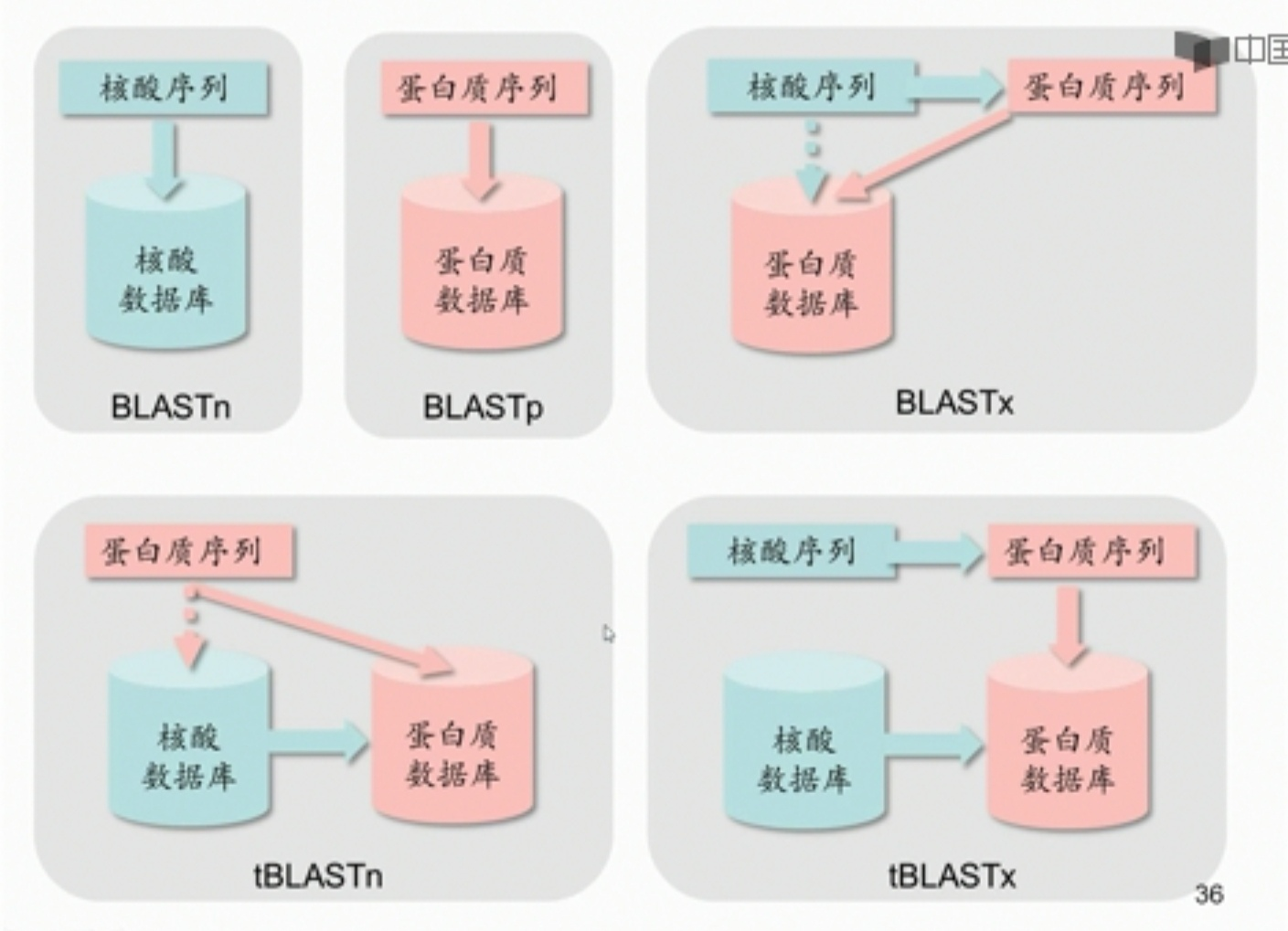 【MOOC-生物信息学-序列比较】_计算两个蛋白质的序列一致性-CSDN博客
