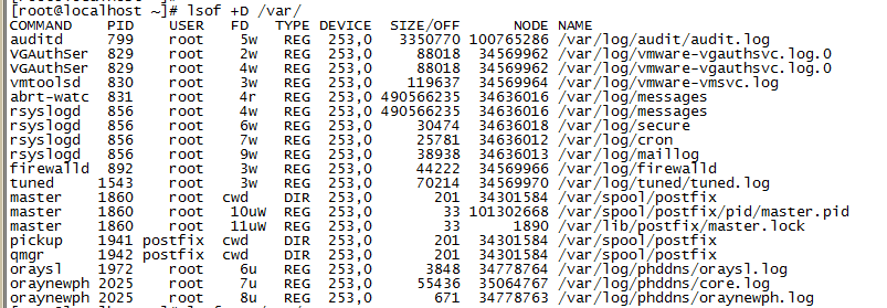 Linux 下 lsof 命令的几个高效用法_lsof -p-CSDN博客