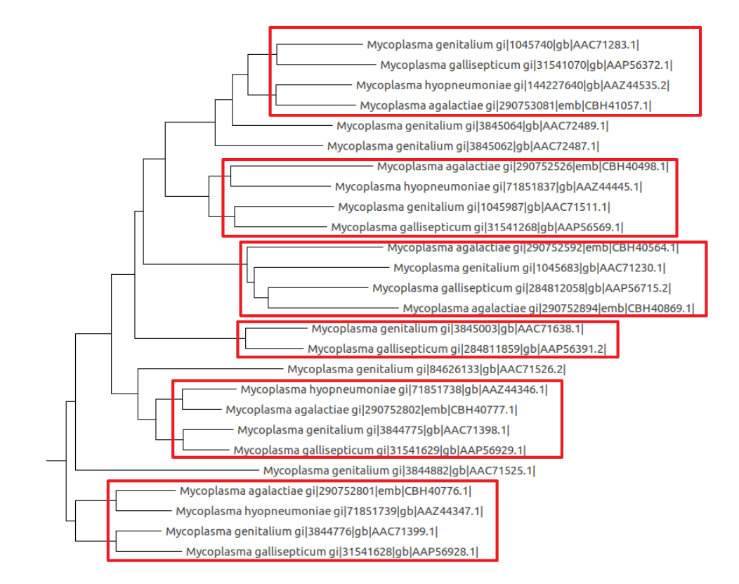 OrthoFinder 2.0 原理及所涉及的相关概念-CSDN博客