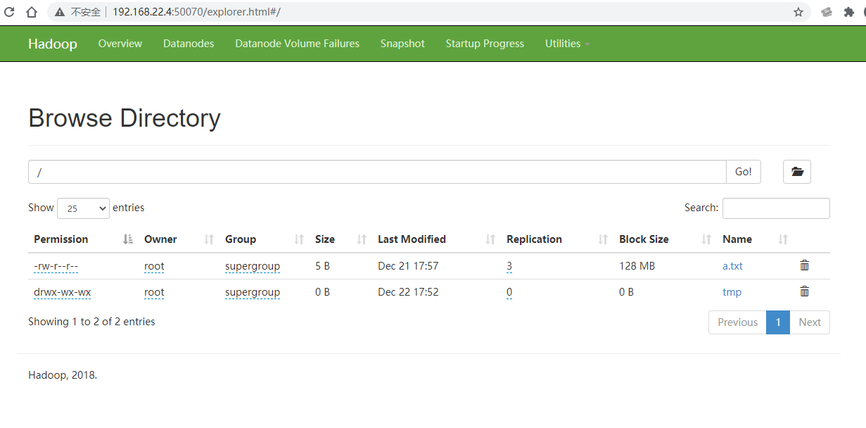 Hadoop简述及HDFS集群搭建详解_hdfs集群怎么搭建-CSDN博客