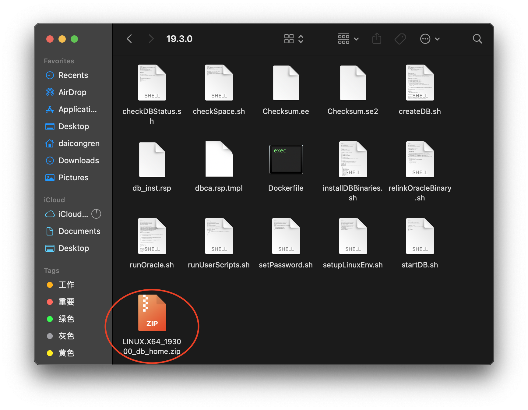 Mac安装Oracle 19.3.0-CSDN博客