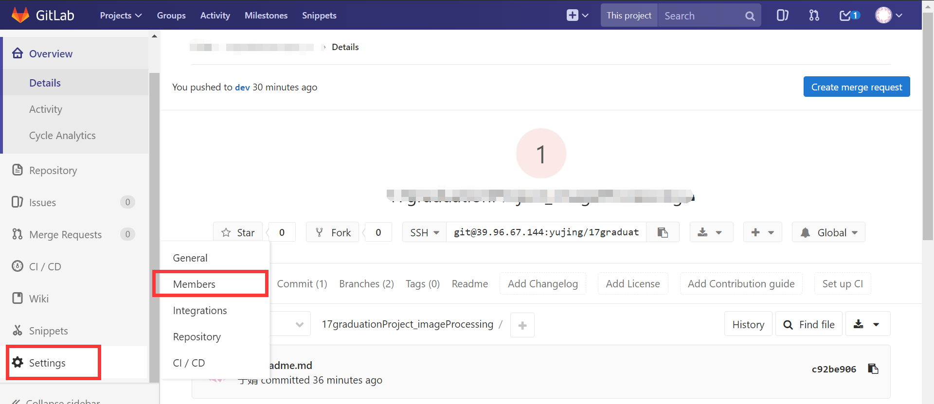 gitlab使用教程Ⅰ—创建项目、保护分支、权限划分_gitlab invite member 权限要如何选择-CSDN博客