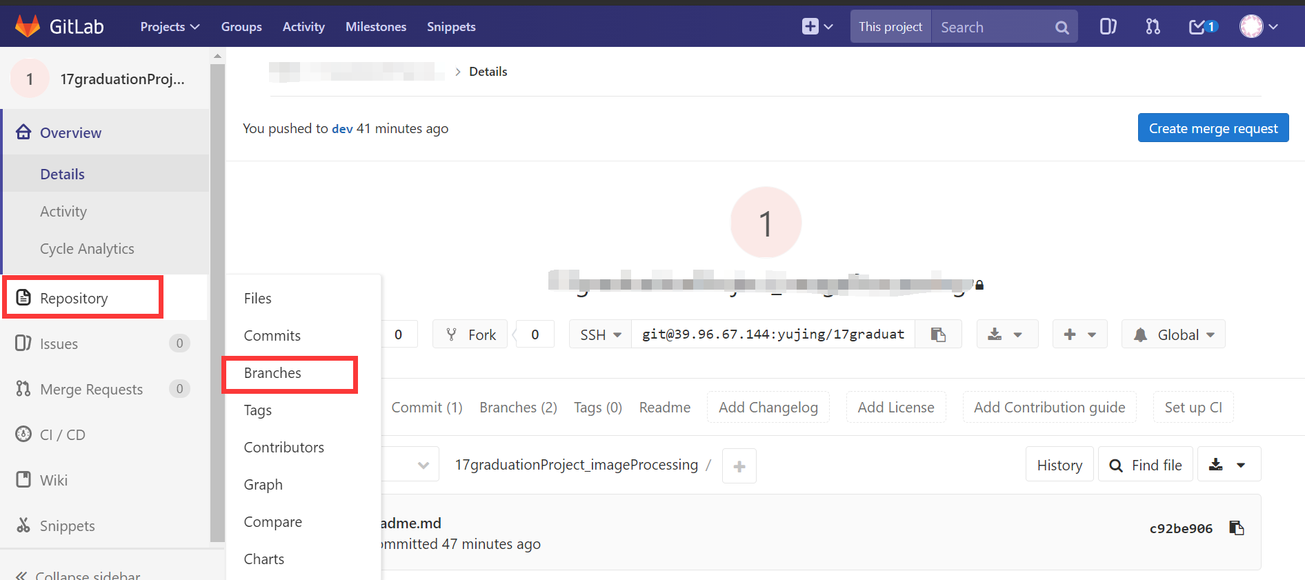 gitlab使用教程Ⅰ—创建项目、保护分支、权限划分_gitlab invite member 权限要如何选择-CSDN博客