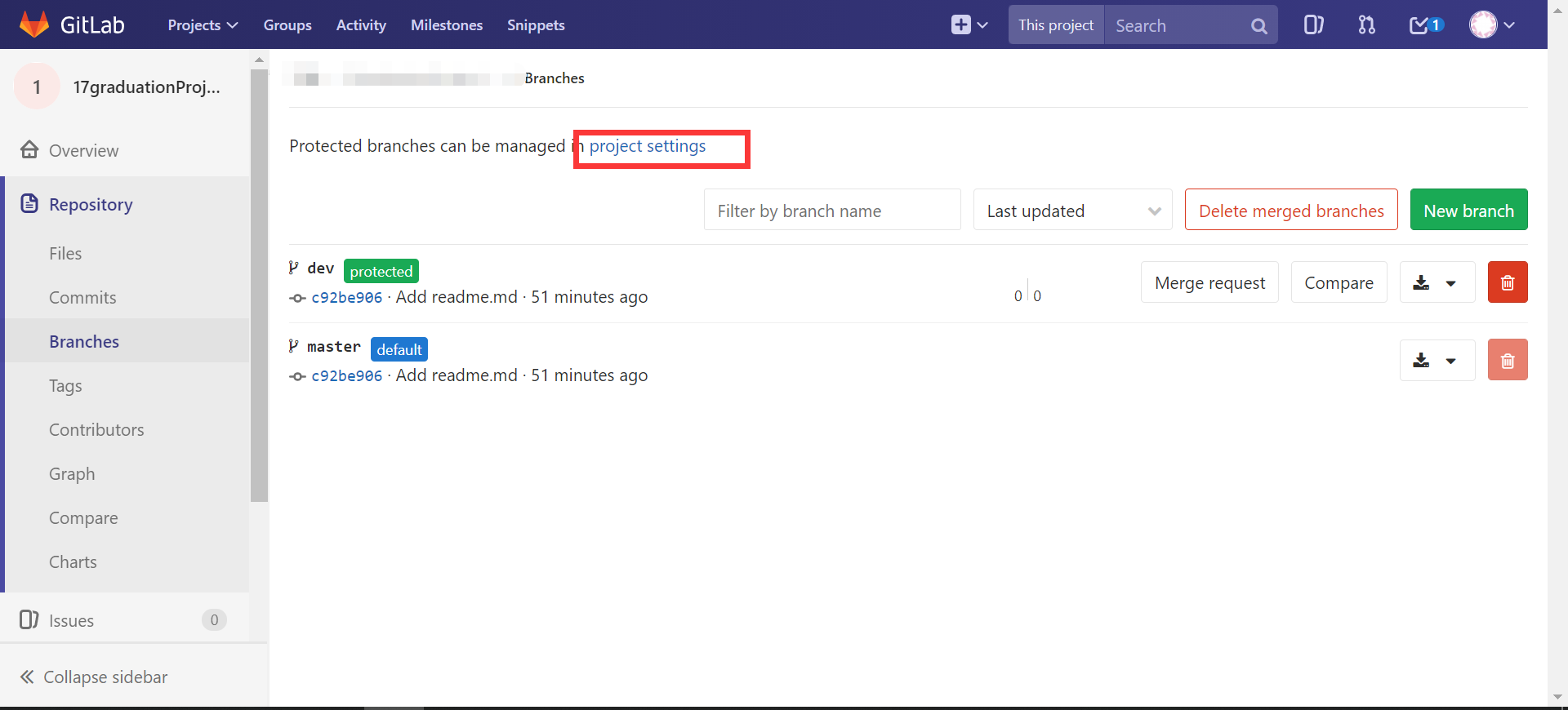 gitlab使用教程Ⅰ—创建项目、保护分支、权限划分_gitlab invite member 权限要如何选择-CSDN博客