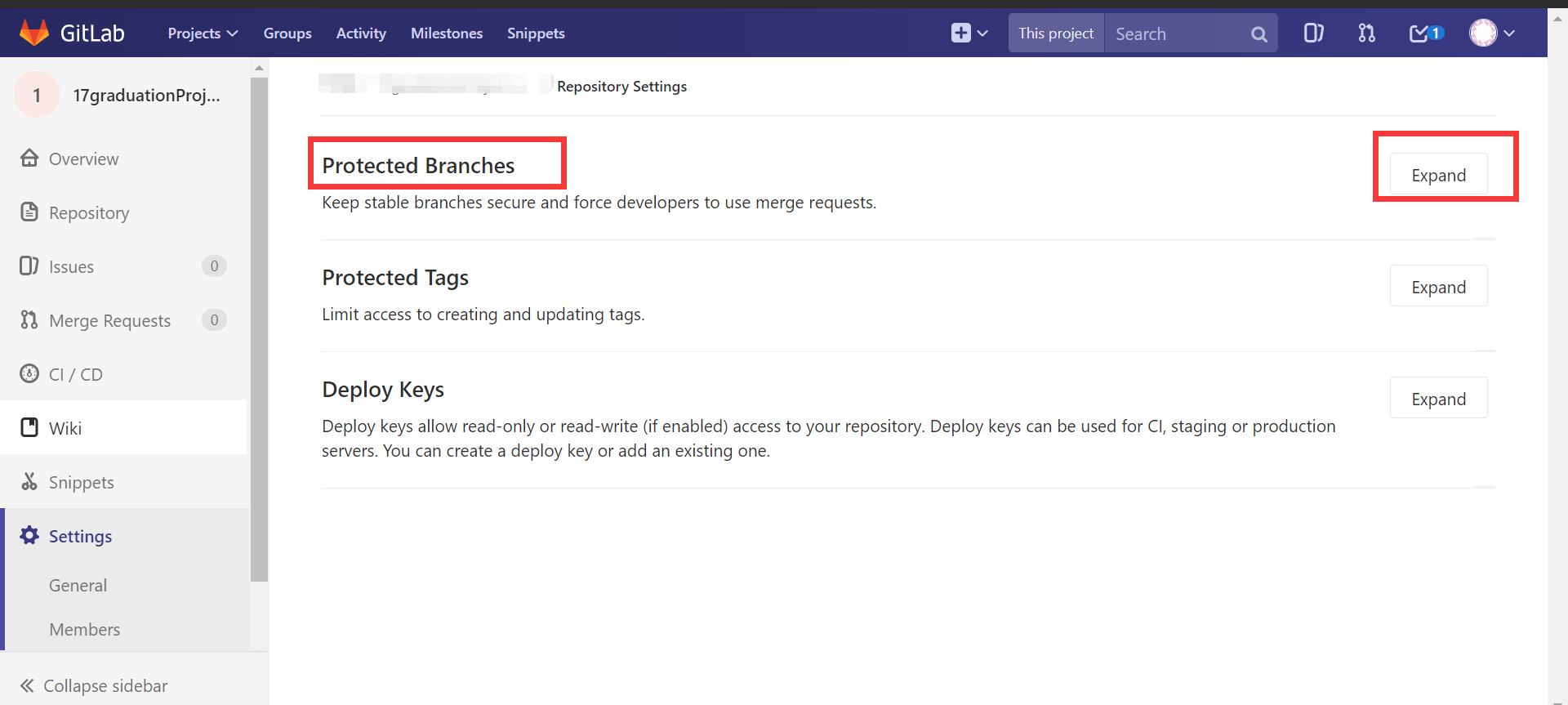 gitlab使用教程Ⅰ—创建项目、保护分支、权限划分_gitlab invite member 权限要如何选择-CSDN博客