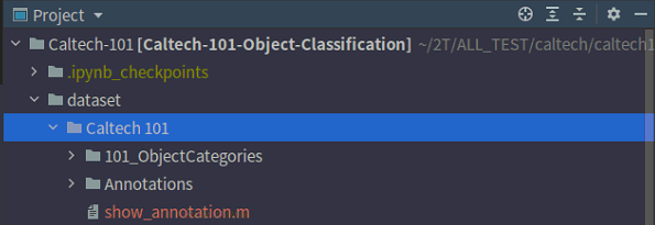 使用CNNs网络，基于caltech 101数据集实现分类_n-caltech101-CSDN博客