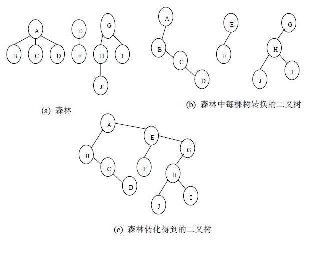数据结构——简单实现森林转化为二叉树森林转换成二叉树 Csdn博客 