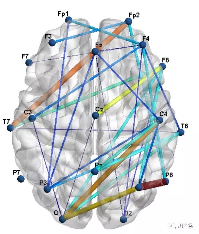 如何利用BrainNet Viewer工具包实现EEG功能连接的可视化？_brainnet viewer10-20节点位置-CSDN博客