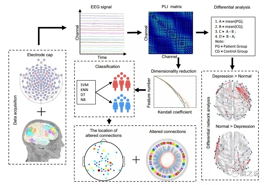 基于EEG功能连接的多变量模式分析：抑郁症的分类研究_采用相滞指数(phase lag index,pli)来计算两两通道信号之间的功能连接 ...