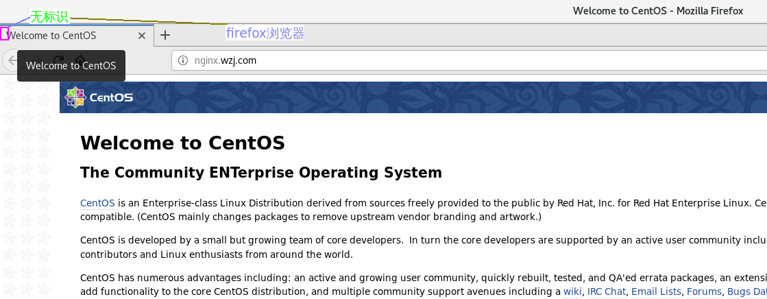 Nginx(九)nginx的favico.ico_nginx favicon.ico-CSDN博客