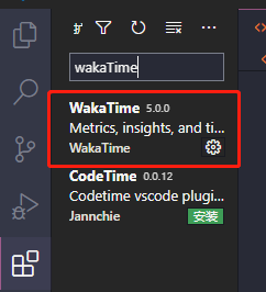 如何获取vs code中插件Waka Time的API key_wakatime api key-CSDN博客
