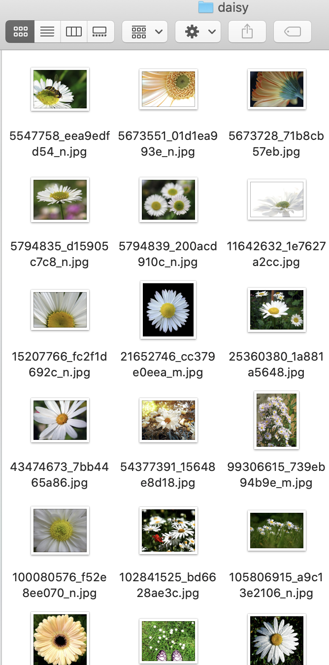 (十一) 深度学习笔记 ｜ 使用pytorch搭建AlexNet并训练花分类数据集-CSDN博客