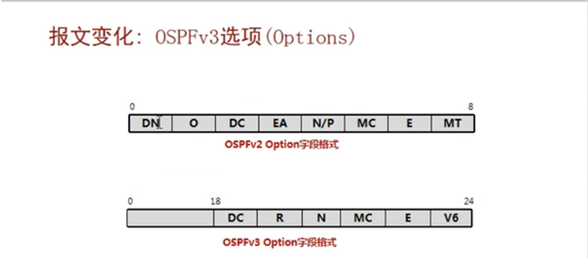 OSPFv3与OSPFv2的异同点+多实例实验_ospfv3和ospfv2的共同点-CSDN博客