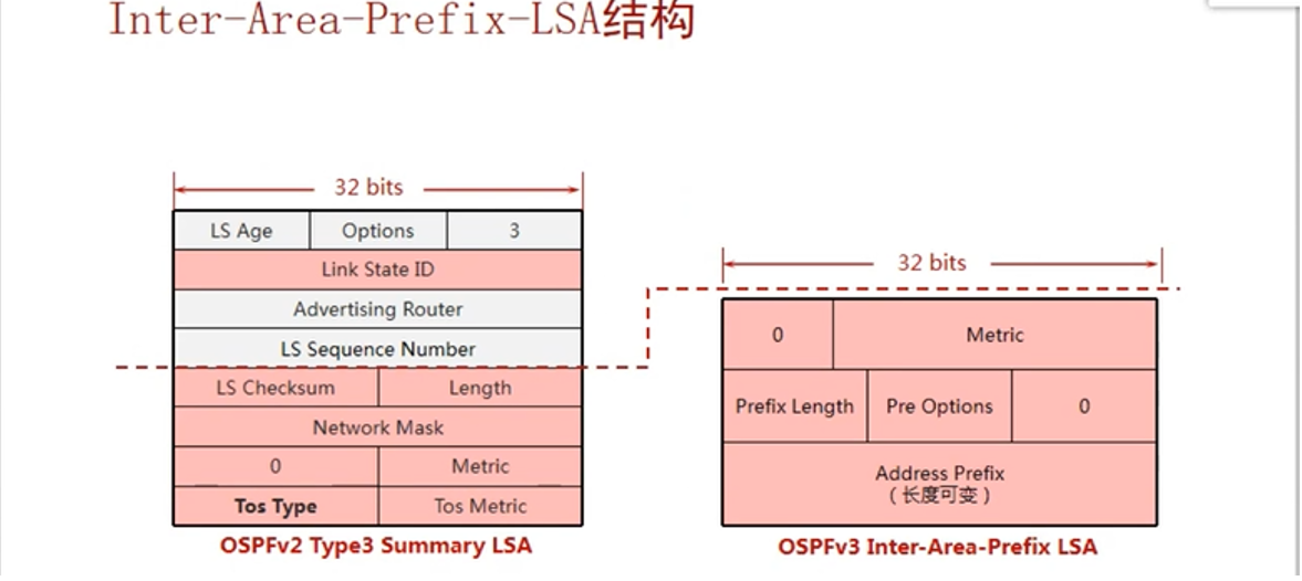 OSPFv3的LSA类型抓包详解-CSDN博客