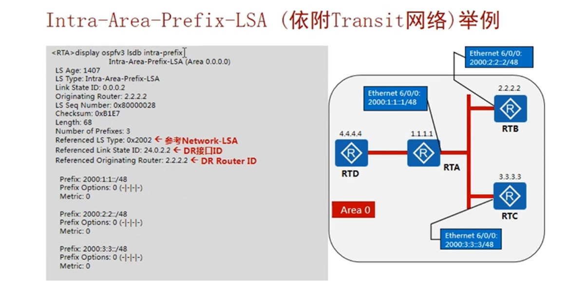 OSPFv3的LSA类型抓包详解-CSDN博客