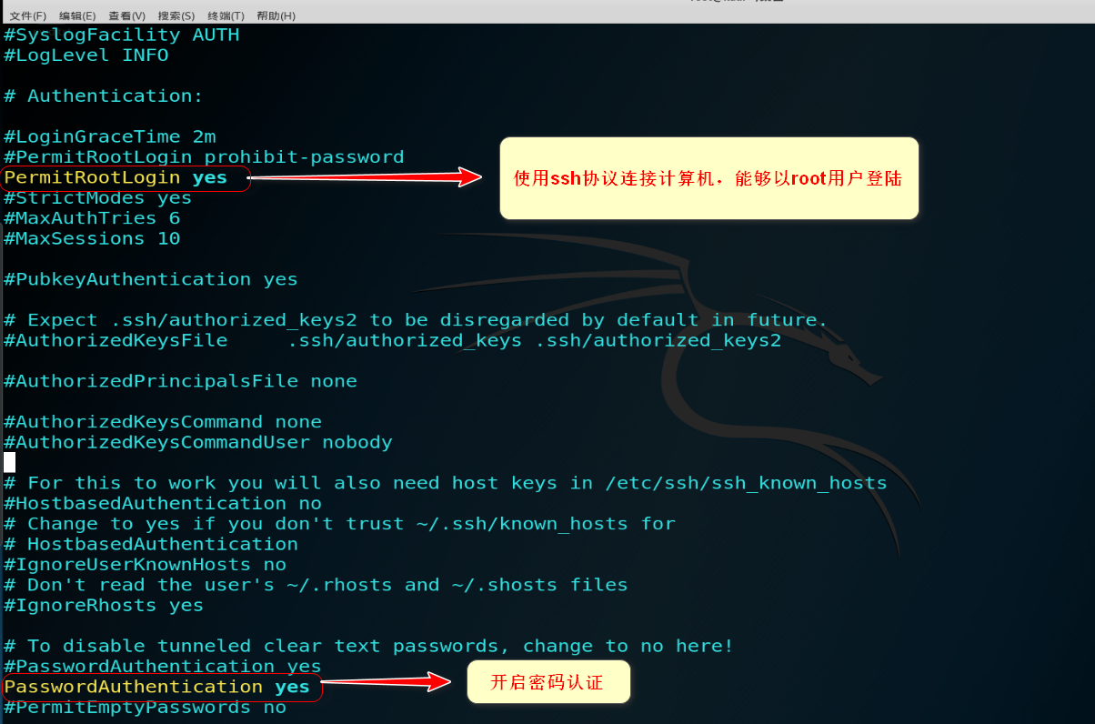 xhydra的使用_xhydra使用教程-CSDN博客
