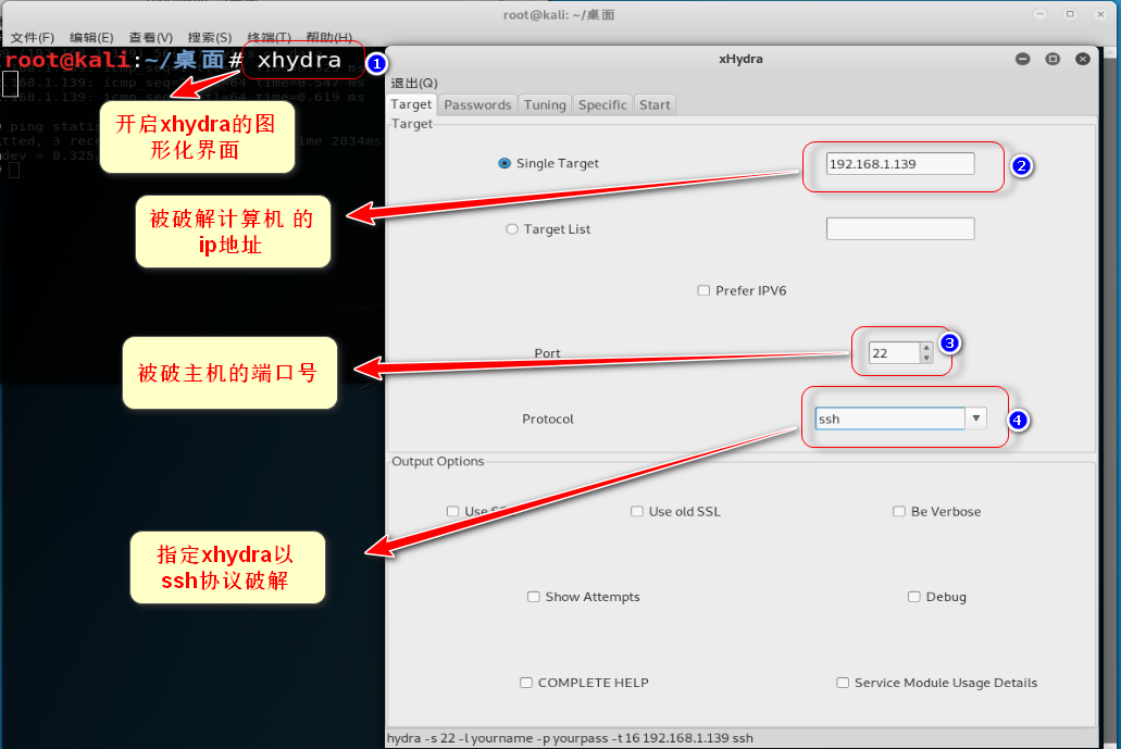 xhydra的使用_xhydra使用教程-CSDN博客