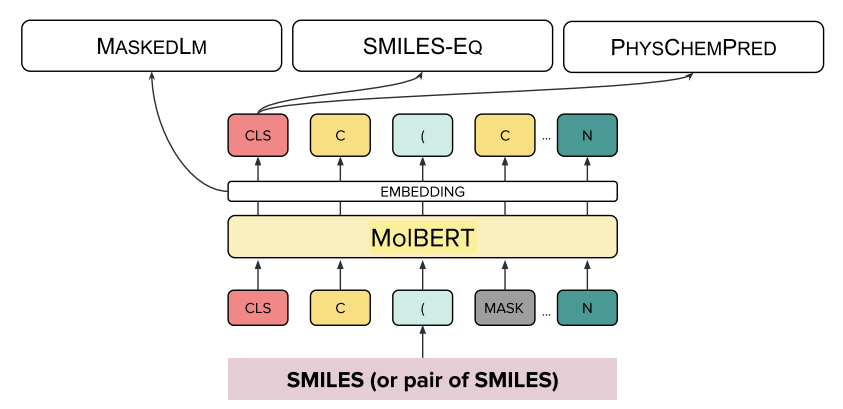 nlp&python | 使用bert提取分子表征（ongoing）_bert如何表征序列元素-CSDN博客