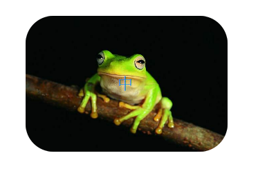 Qt Draw: Picture Drawing Rounded - Programmer Sought