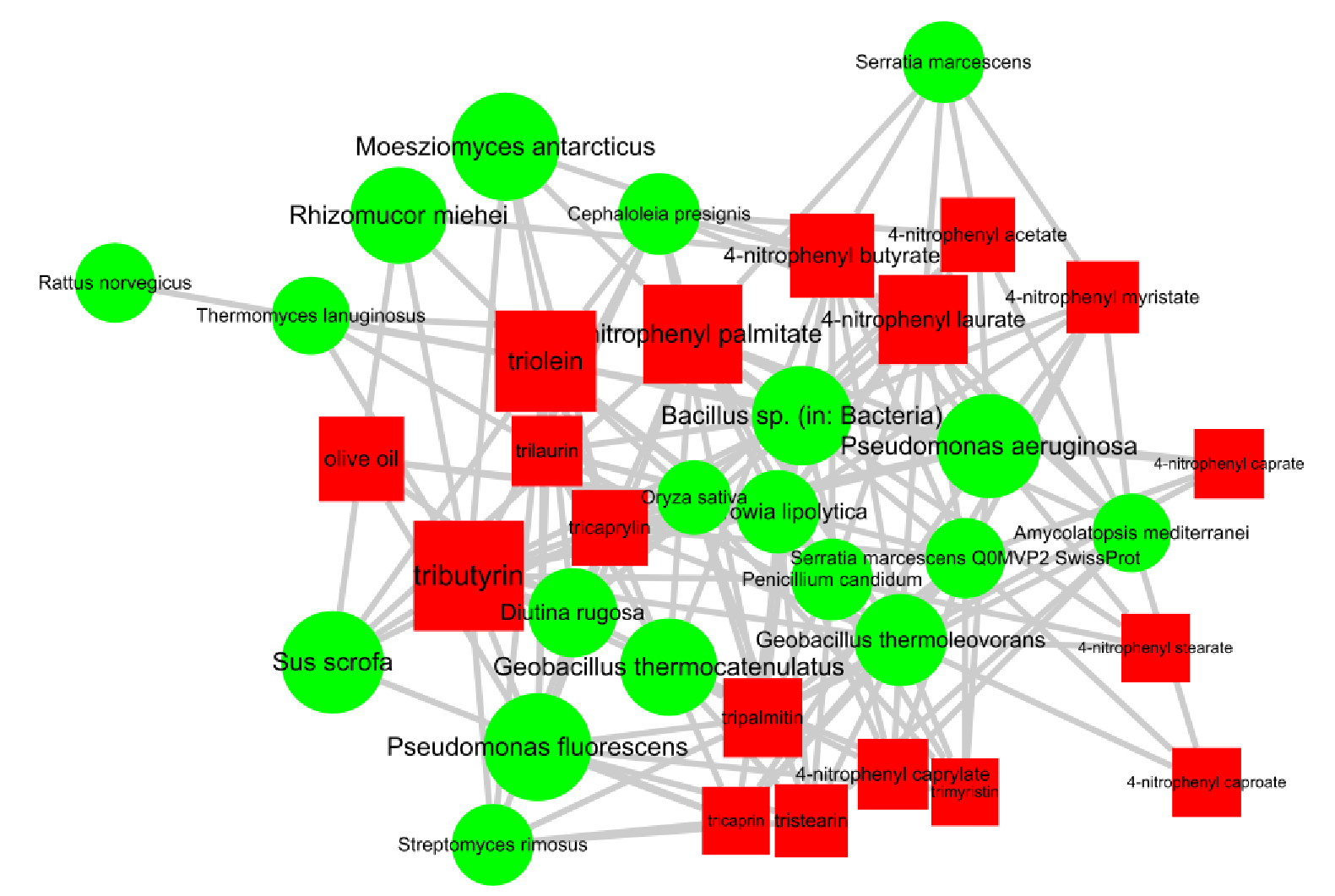 Brenda to Cytoscape (2,v1.0)_cytoscape如何根据degree设置节点大小-CSDN博客