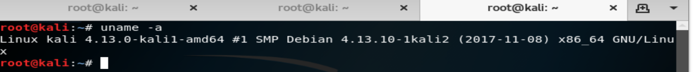 Kali更新Msf版本_kali msf最新版本-CSDN博客
