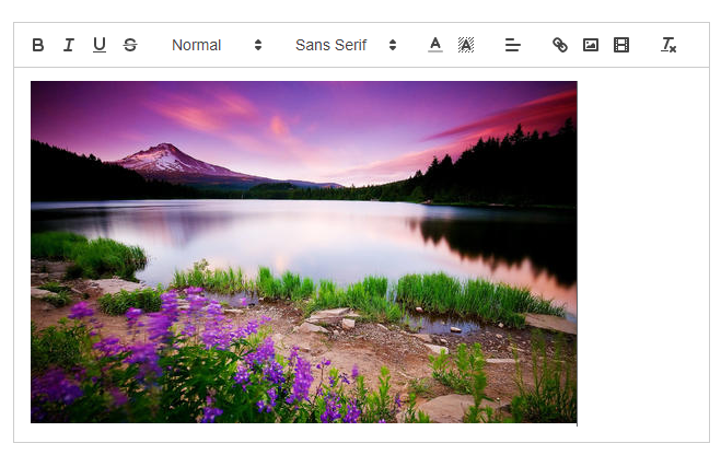 Vue Quill Editor Element 实现富文本自定义上传图片和视频vue Quill Editor富文本编辑器结合elementui上传图片格式base64转成图片路 Csdn博客