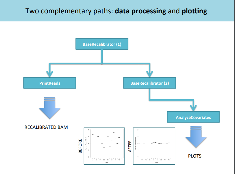 GATK4.1.9.0使用之BQSR_gatk bqsr-CSDN博客