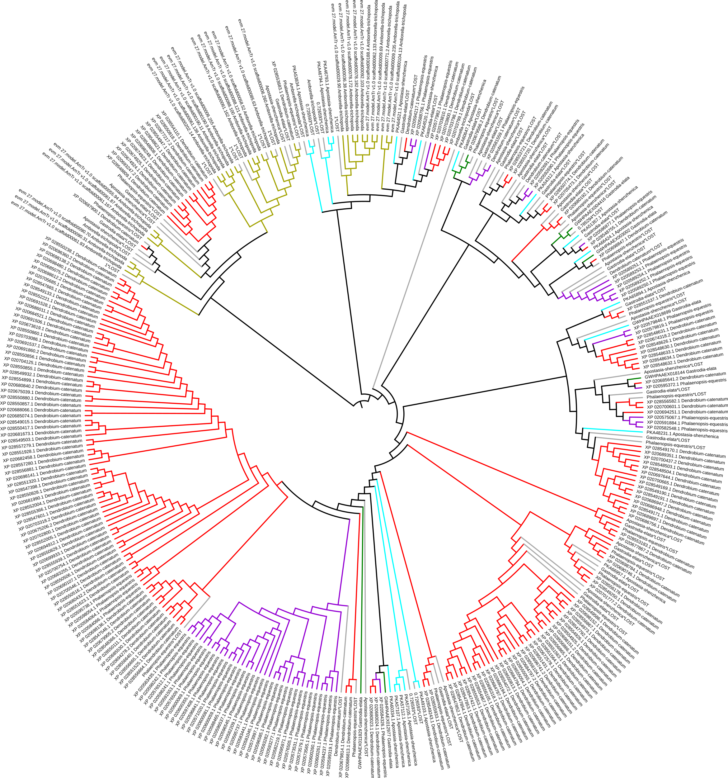 利用 OrthoFinder、IQtree、Notung、iTOL 绘制基因树-CSDN博客
