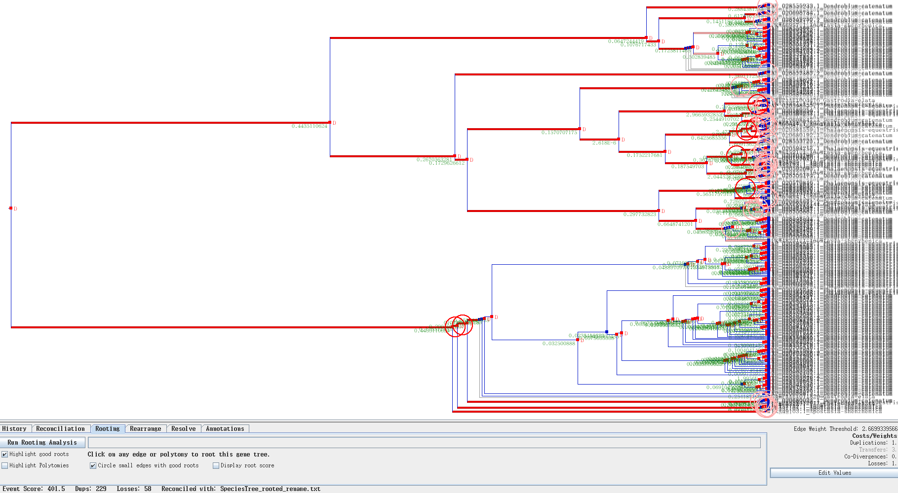 利用 OrthoFinder、IQtree、Notung、iTOL 绘制基因树-CSDN博客