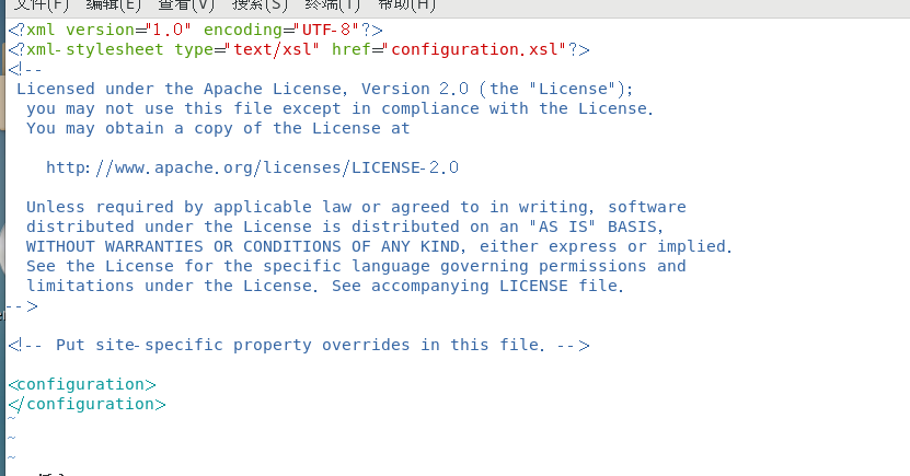CentOS 7.4安装及Hadoop伪分布式配置（虚拟机：VMware）_vmware虚拟机hdfs配置环境变量-CSDN博客