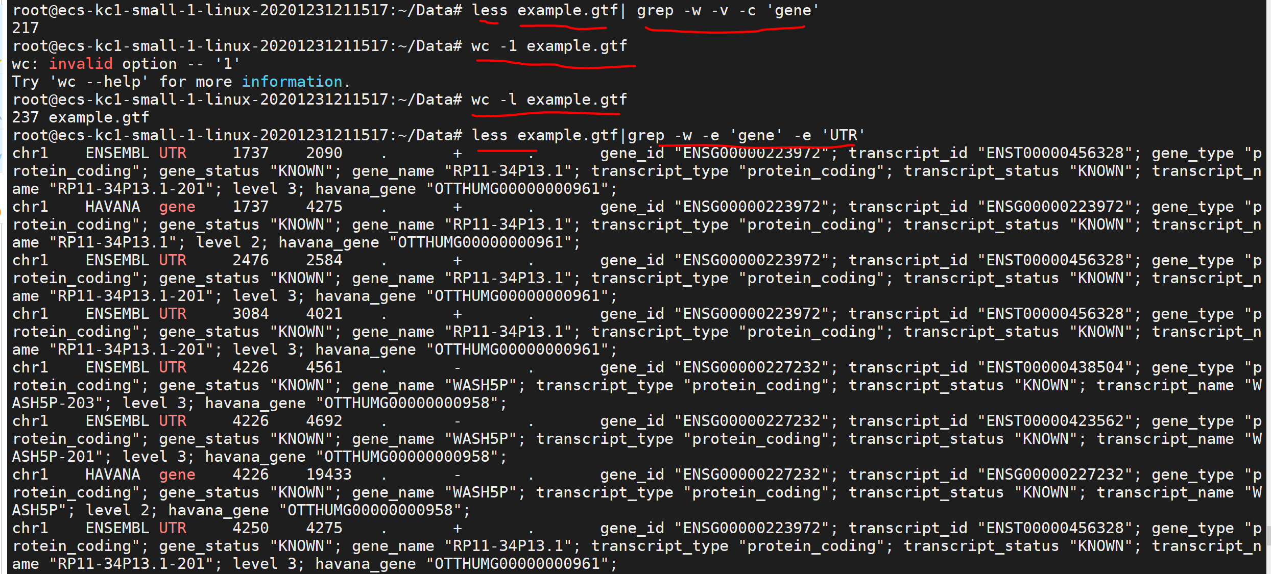 linux 的三驾马车grep ，sed，awk_awk 三架马车-CSDN博客