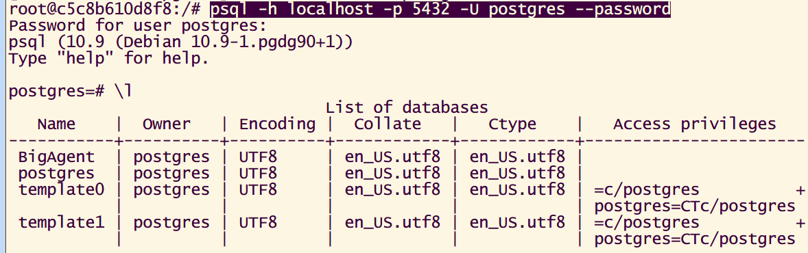 docker安装postgresSQL和设置自定义数据目录_docker 安装postgres自定义目录-CSDN博客