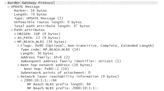 BGP4+技术原理-CSDN博客