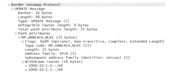 BGP4+技术原理-CSDN博客
