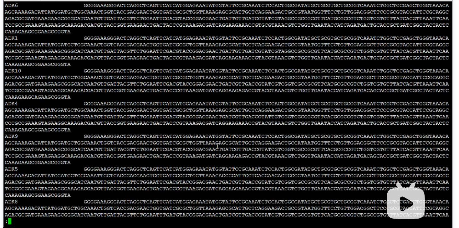 序列多重比对工具：MUSCLE_muscle序列比对-CSDN博客