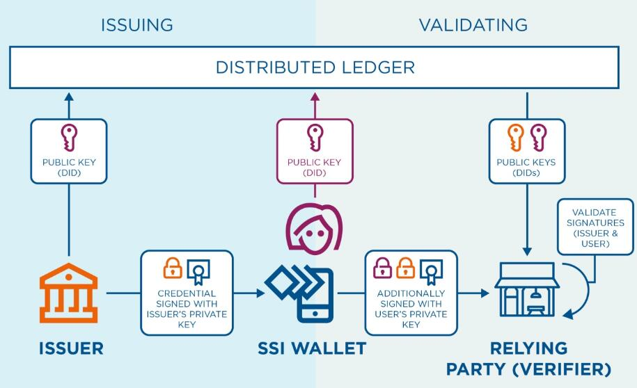 Hyperledger Indy项目(开源去中心化身份平台)、去中心化身份(DID)、分布式数字身份项目-CSDN博客