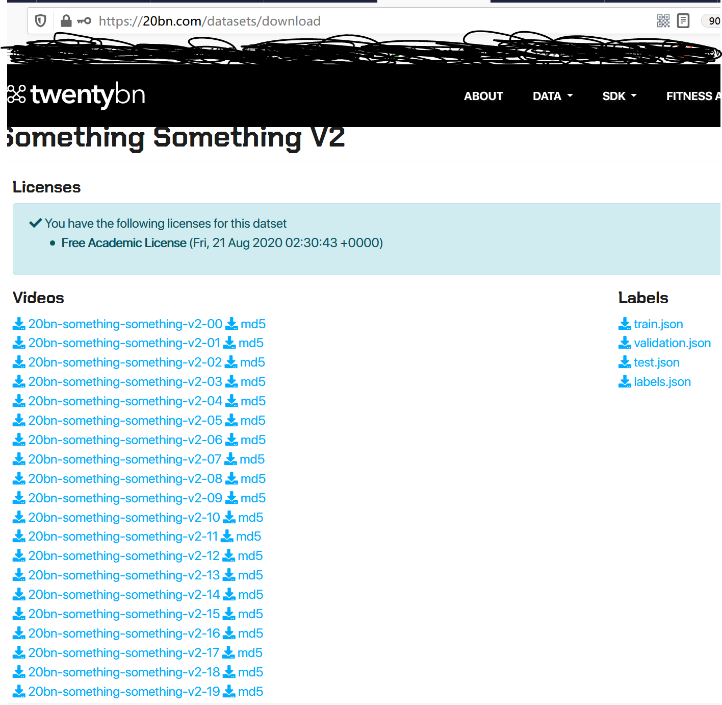 something-somethingV2数据集处理_sthv2数据集-CSDN博客