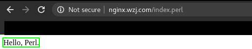 Nginx(二十)nginx配置perl_nginx perl-CSDN博客