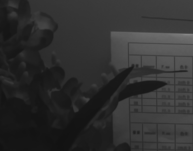 ISP算法去噪_isp cfa算法-CSDN博客