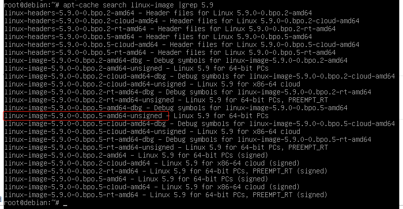 Debian11.5 最小化安装后更改主机名、安装桌面、设置默认语言、时区、静态IP、局域网DNS等_迷你小主机debian系统-CSDN博客