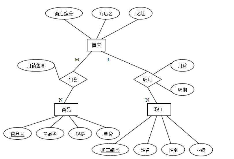 数据库E-R图基础概念_er图主键怎么表示-CSDN博客