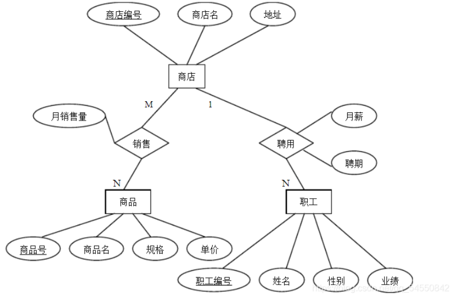 数据库E-R图基础概念_er图中的p代表什么意思-CSDN博客