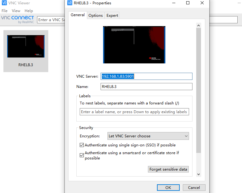 RHEL8.3 配置VNC 远程_rhel8 tigervnc 详解-CSDN博客