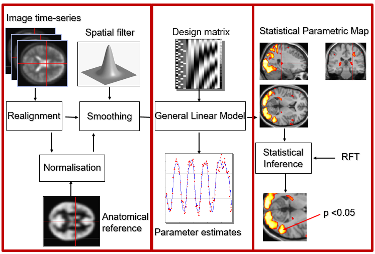 基于DPABI和SPM12的任务态fMRI分析笔记1——预处理_任务态磁共振数据处理流程图-CSDN博客