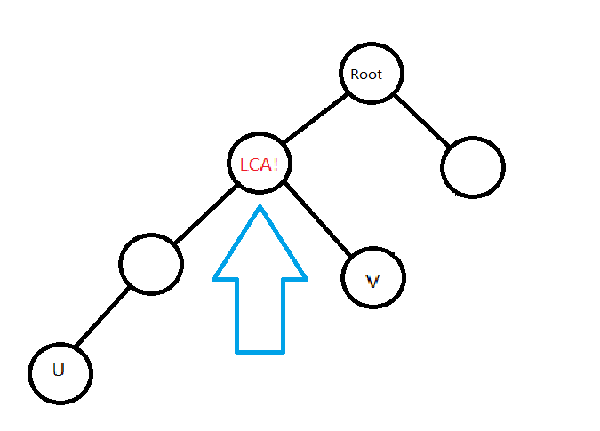LCA问题——倍增算法，Tarjan算法讲解_lca倍增-CSDN博客
